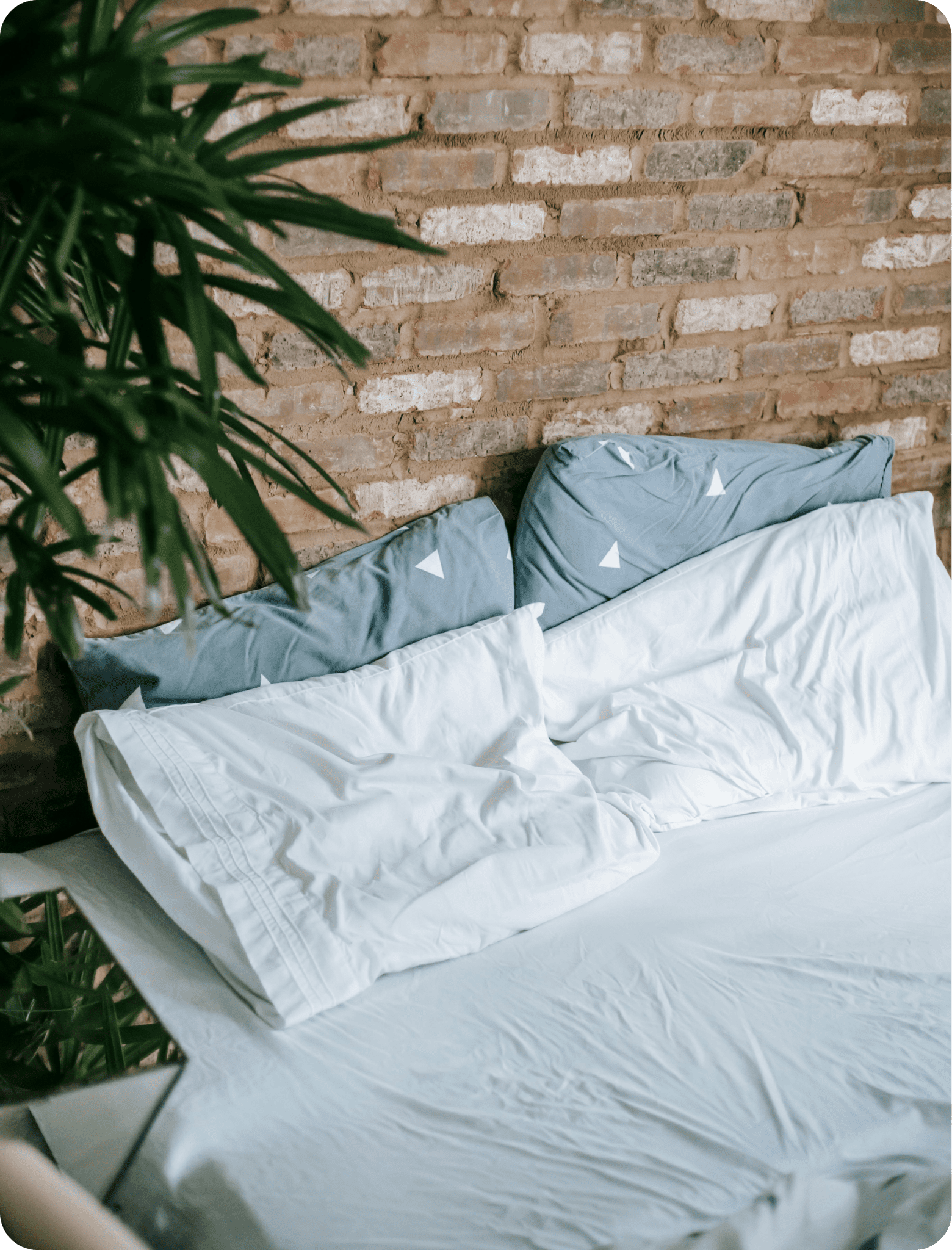 Home | The Snooz Shop